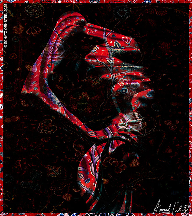 » A PHOTOGRAPH, WEEK FORTY-NINE